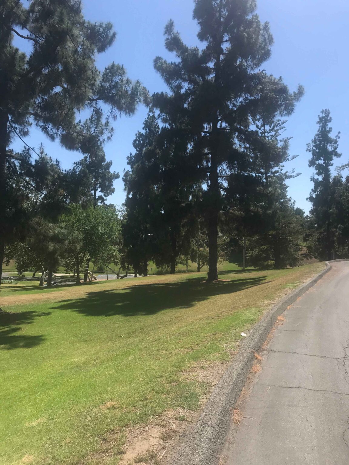 Craig Regional Park - Nature Parks Orange County California